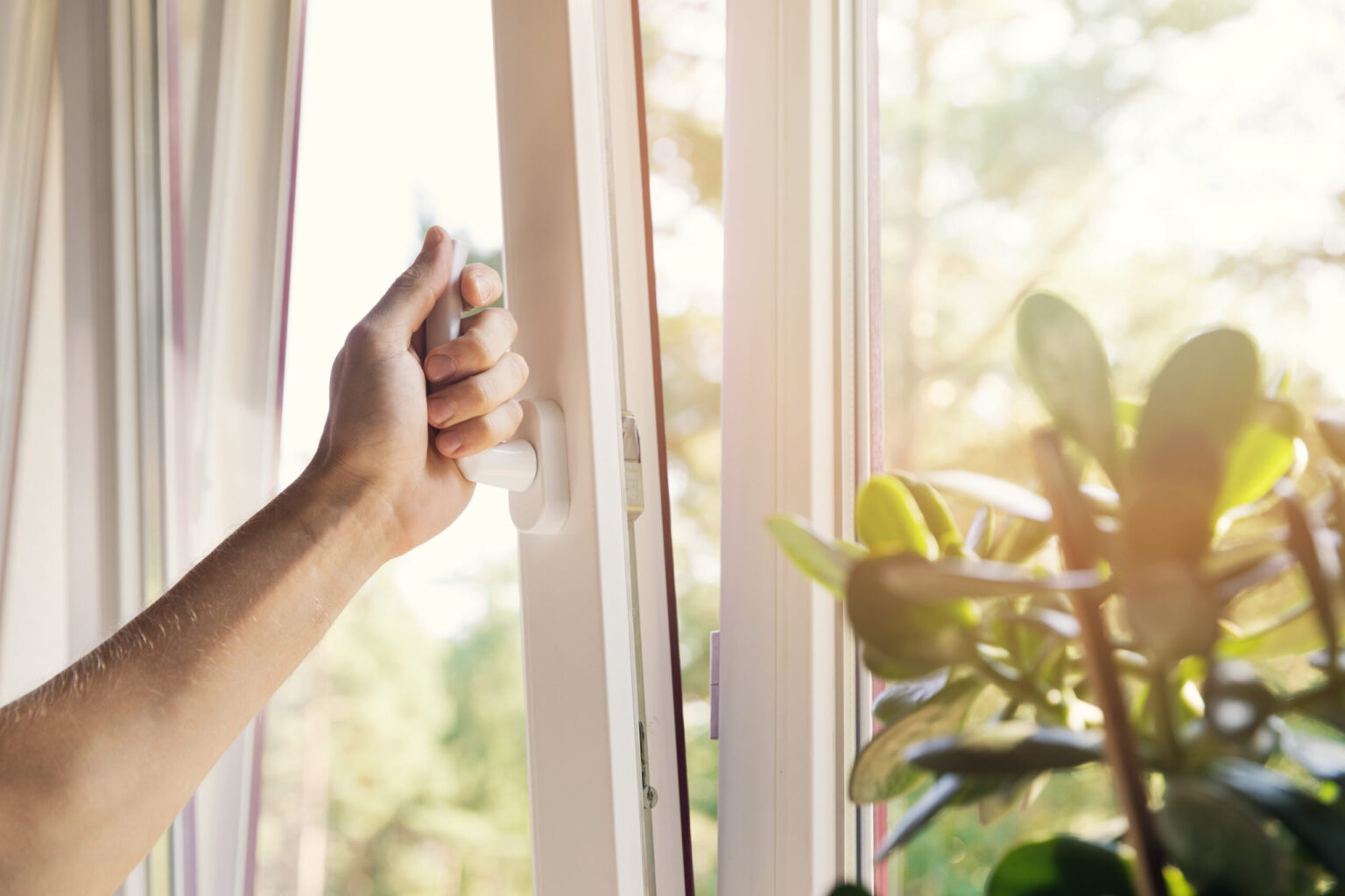When to Open Your Windows? A Complete Guide to Indoor Air QualityWhen ...